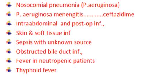 Cephalosporins Quizlet Cephalosporins Main Notes Antibiotics β Lactam Antibiotics Penicillins