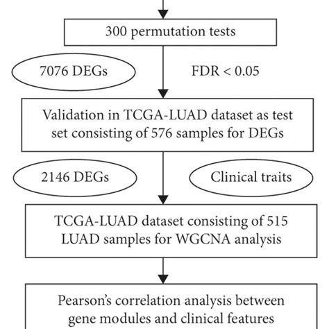 Workflow Of The Integrated Analysis And Wgcna Analysis Of The Nsclc