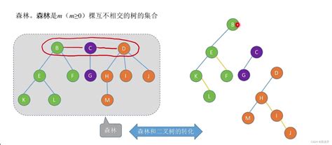 数据结构篇 树与森林森林中的兄弟关系 Csdn博客