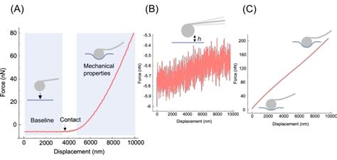 Experimental And Data Analysis Workflow For Soft Matter Nanoindentation Text Page