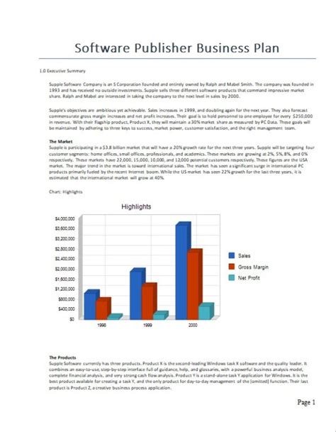 Example Software Publisher Business Plan In Word And Pdf Formats Document Templates
