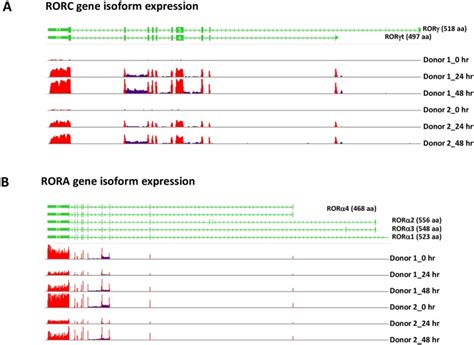 Rorγt And Rorα Signature Genes In Human Th17 Cells Pmc