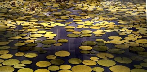 Thomas Demand 8 Judith Benhamou Reports