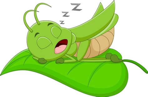 Lazy Cartoon Grasshopper