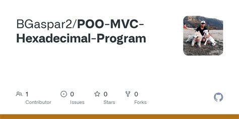 github bgaspar2 poo mvc hexadecimal program