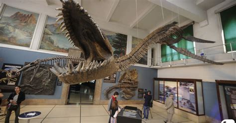 네스호의 괴물 닮은 플레시오사우루스 화석 이달 경매 나온다