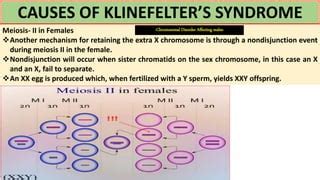 Klinefelter Syndrome Pptx