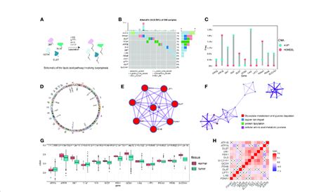 Overview Of The Multi Omics Analysis For Cuproptosis A Schematic