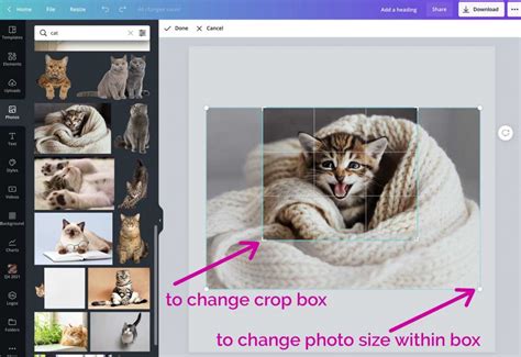 How To Crop In Canva For Picture Perfect Results LouiseM
