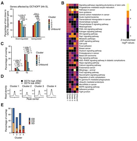 Figures And Data In Dynamic Regulation Of Chromatin Accessibility By Pluripotency Transcription