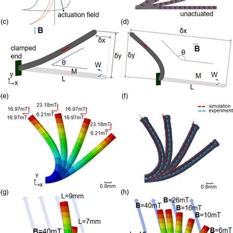 schematic illustration of the ann‐based segmented control scheme of the