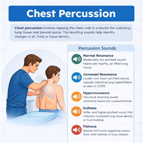 Chest Percussion Clinical Importance In Respiratory Care