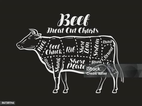 고기 잘라 차트 암소 쇠고기 개념입니다 메뉴 식당이 나 정육점이 게입니다 벡터 일러스트 레이 션 0명에 대한 스톡 벡터 아트 및
