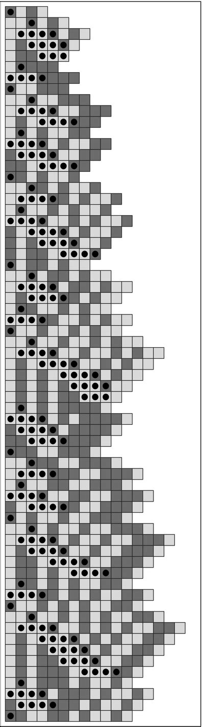 Emulating Other Systems With Cellular Automata A New Kind Of Science Online By Stephen