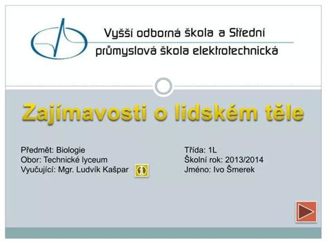 Ppt Zaj Mavosti O Lidsk M T Le Powerpoint Presentation Free Download Id