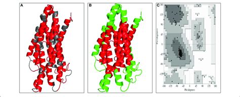 Modeled Structure Of Multi Epitope Based Subunit Vaccine Candidate