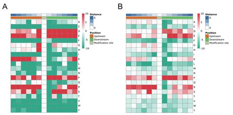 Motif Analysis Of Phosphorylation Sites The Motif Enrichment Heat Map