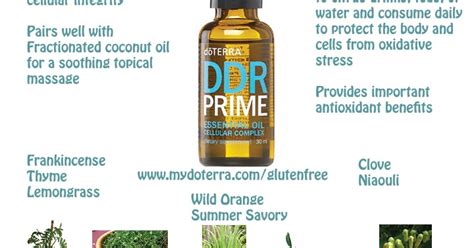 Radiant Health With Essential Oils Ddr Prime Cellular Blend