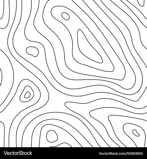 Seamless Topographic Map Texture Line Topography Vector Image