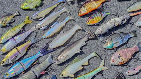 Swimbait Fishing Full Seminar For Beginners And Advanced Anglers