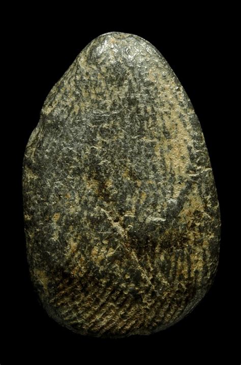 พระกรุบางสะแกนอก พระเครื่อง พระแท้ Webpra เว็บ พระ คอม