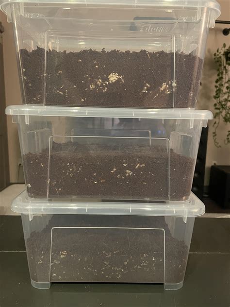 Messed My Ratios Up When S2b R Unclebens