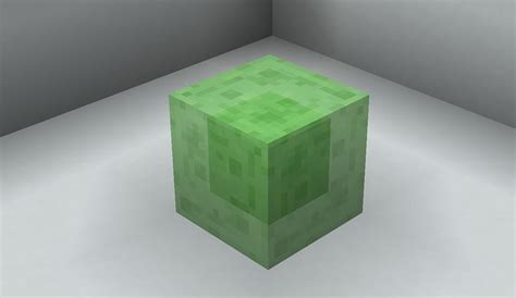Slime Block In Minecraft