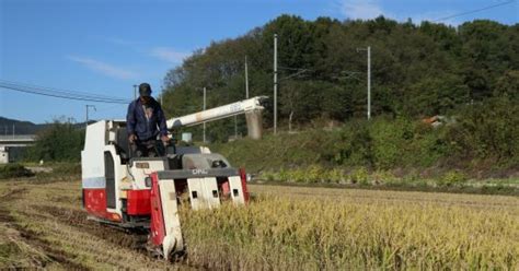추수의 계절 수확의 기쁨 느끼는 농부들
