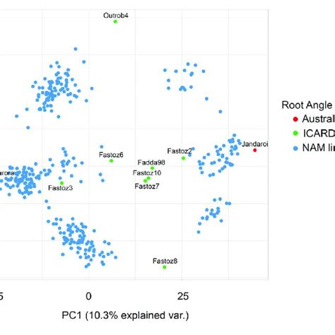Root Growth Angle Phenotypes Measured In Important Durum Wheat Download Scientific Diagram