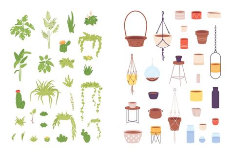 Houseplants Bundle Houseplant Constructor Pot Natural Dom