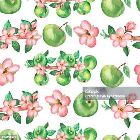 수채화 손은 사과 꽃 나뭇잎 녹색 사과의 가지로 매끄러운 패턴을 그렸습니다 물보라가 있는 아름다운 현대적인 배경 0명에 대한 스톡 벡터 아트 및 기타 이미지 Istock