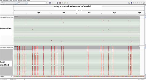 Model Improvement Questions · Issue 34 · Nanoporetechremora · Github