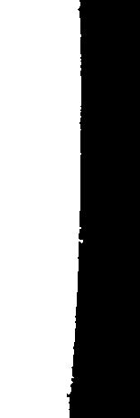 Python Vertical Curved Line Detection With Opencv Stack Overflow