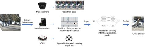 Figure 1 From Pedestrian Crossing Intention Prediction Method Based On Multi Feature Fusion