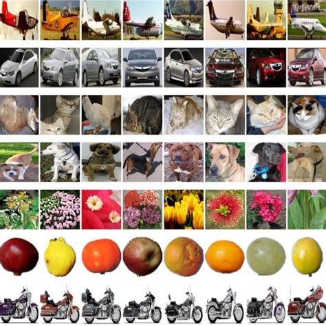 Image Examples From The Natural Images Dataset Download Scientific Diagram