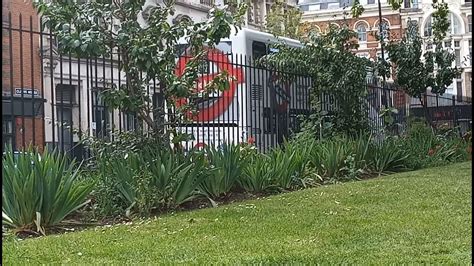 Wright Eclipse Gemni 3 Route 242 To Homerton Hospital At Shoreditch