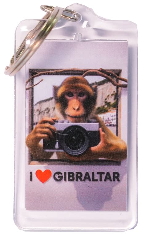 Keychain Plastic Monkey Photo