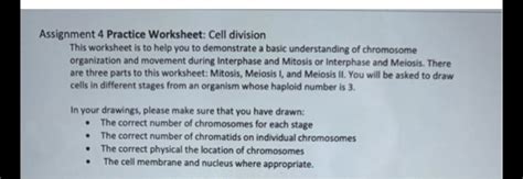 Assignment 4 Practice Worksheet Cell Division This Worksheet Is To Help You To Demonstrate Basic