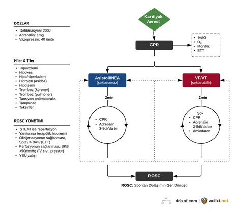 ACLS Algoritmaları Acilci Net