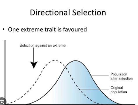 Directional Selection