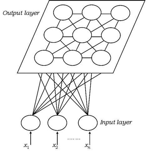 self organizing map