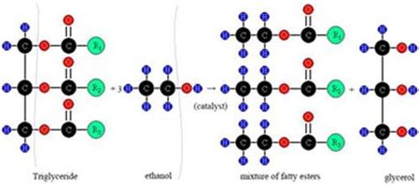 Transesterification Of Oils Dept Of Agriculture 2009 Download Scientific Diagram