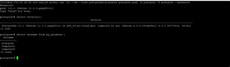 Deploying Postgresql On A Docker Container Dinfratechsource