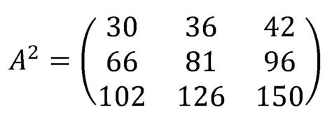 Can You Square A Matrix 3 Things To Know Jdm Educational
