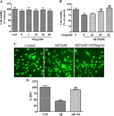 Amyloid Beta Protein 25 36 Semantic Scholar