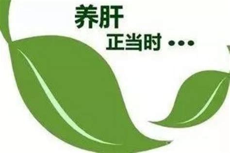 全国爱肝日丨如何呵护你的小心肝 凤凰网