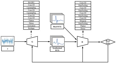 Arrhythmia Detection Based On Wgan Gp And Se Resnet1d