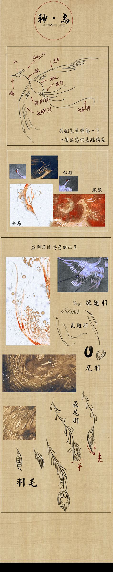 仙气飘飘的神鸟小教程上线啦 大触来了 你喜欢的大触都在这里 1