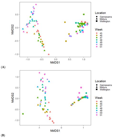 Non Metric Multidimensional Scaling Nmds Based On Braycurtis Download Scientific Diagram