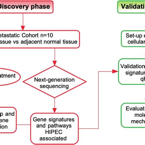 Flowchart Of The Study Design The Figure Illustrates The Flowchart Of